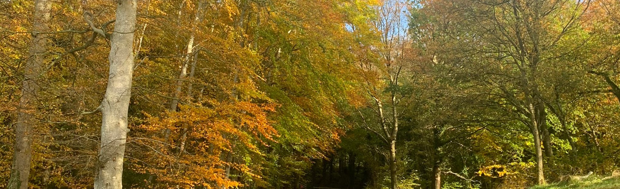 Loughgall Park and Lake, Armagh City, Banbridge and Craigavon, Northern ...