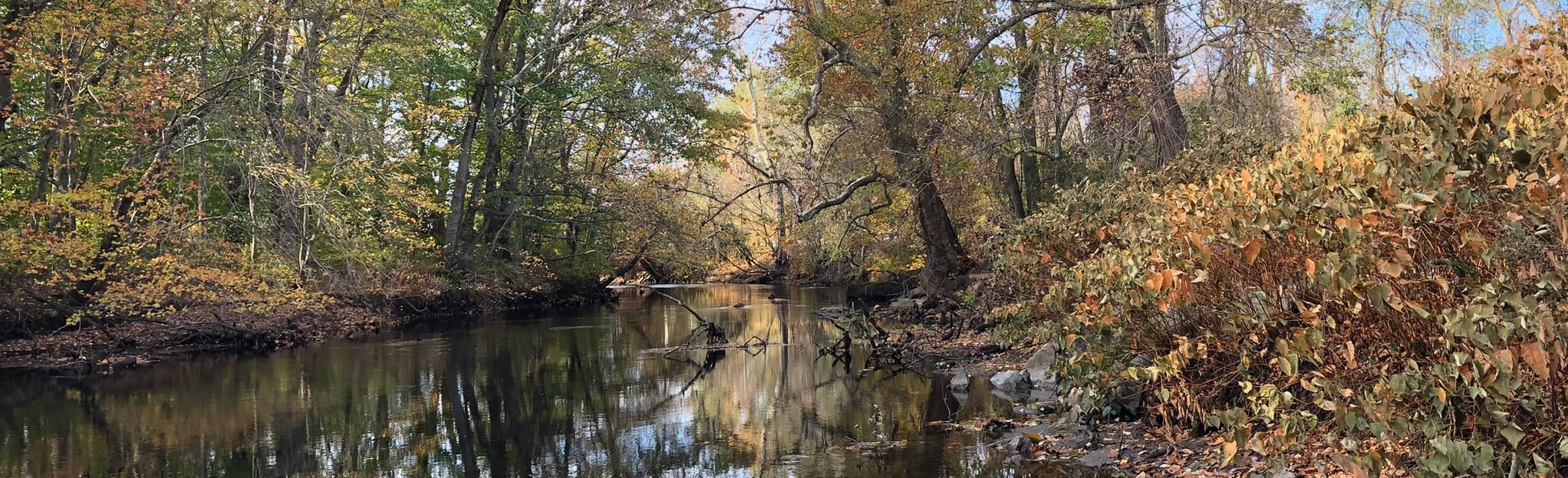 Howard Conservation Area: 26 Reviews, Map - Rhode Island | AllTrails