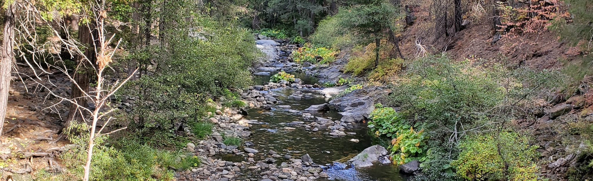 Pipi Loop: 22 Reviews, Map - California | AllTrails