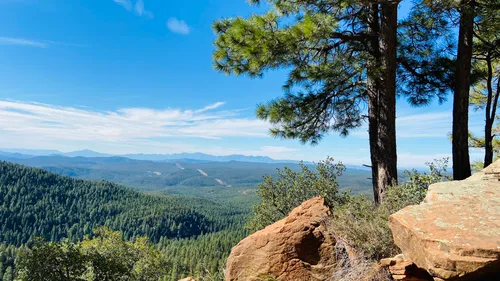 10 Best Trails and Hikes in Forest Lakes | AllTrails