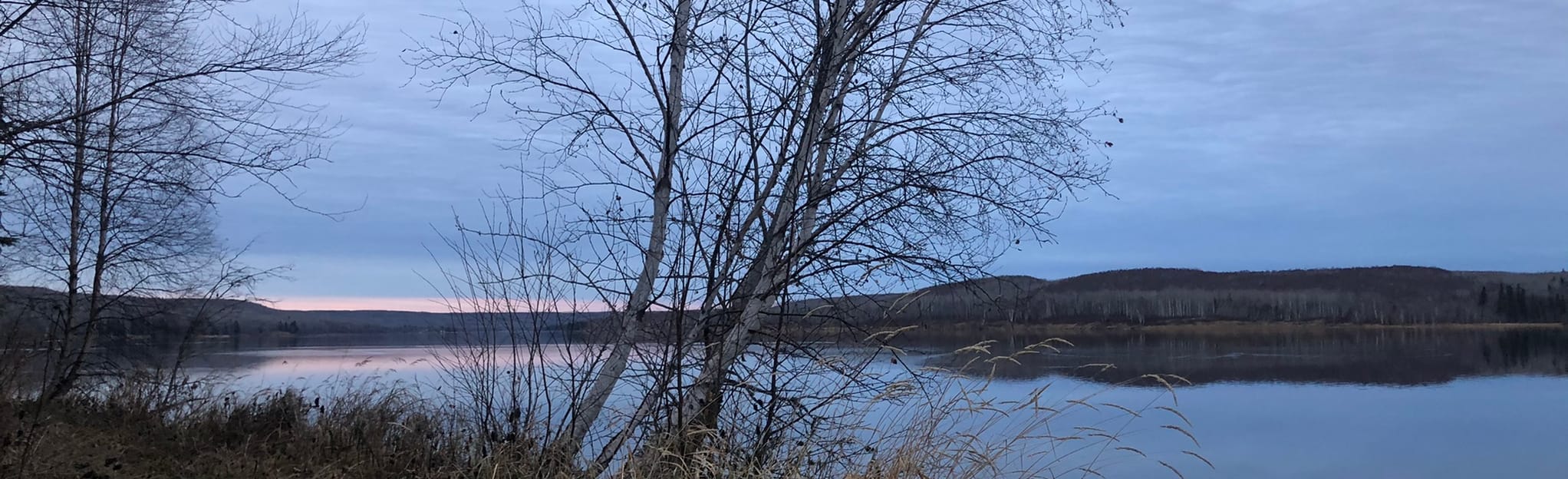 White Earth Creek Trail, Alberta, Canada - 23 Reviews, Map | AllTrails