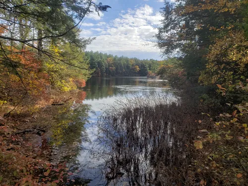 10 Best Hikes and Trails in Breakheart Reservation | AllTrails