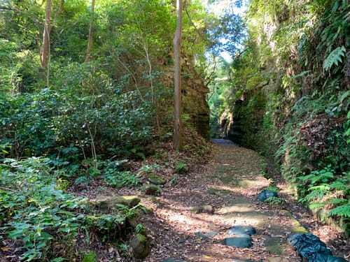 2023 Best 10 Forest Trails in Kamakura | AllTrails