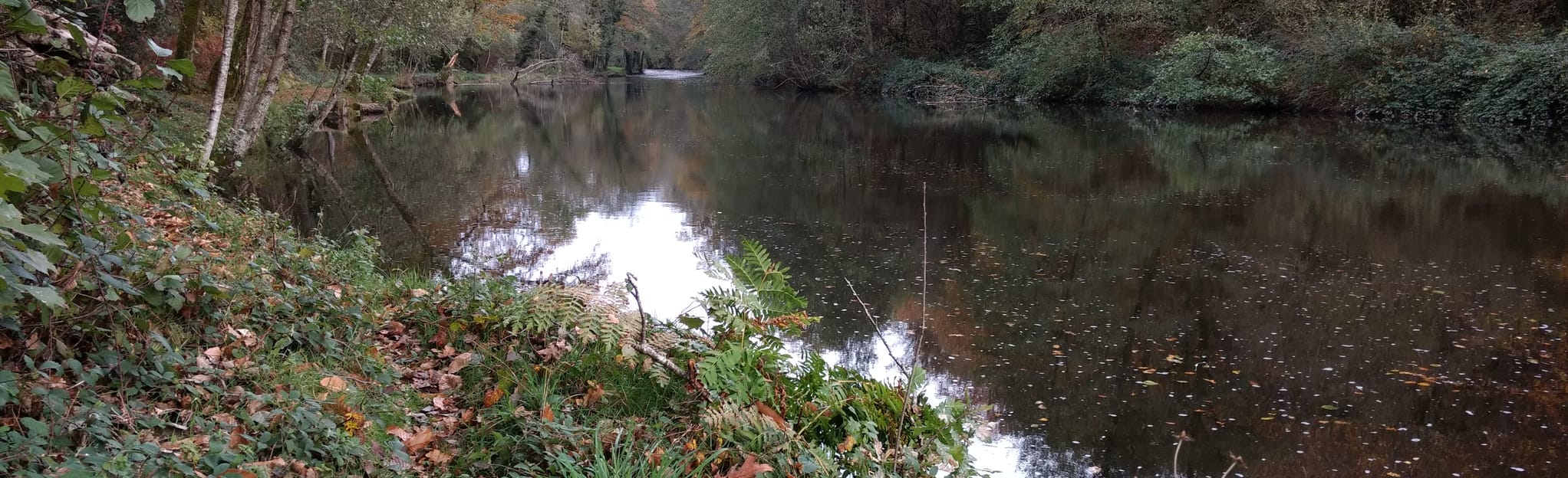 AllTrails | Châteauponsac Narcissus Trail: 24 Reviews, Map - Haute ...