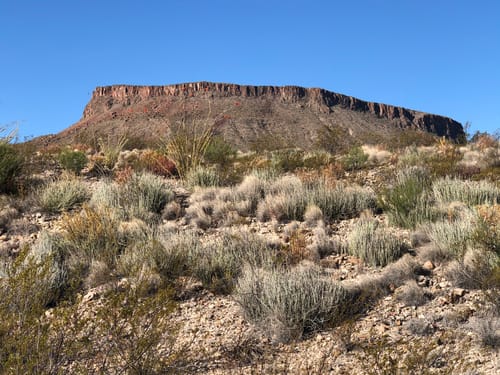2023 Best Mountain Biking Trails in Big Bend Ranch State Park | AllTrails
