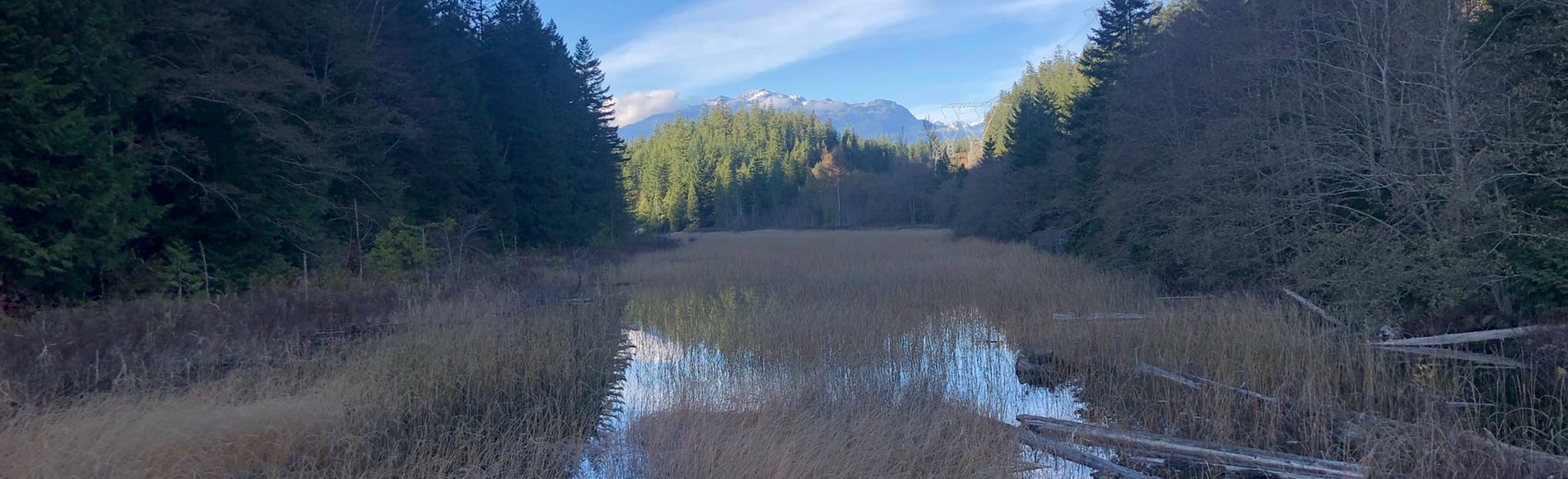 Bridge, High and Connector Trails Loop: 15 Reviews, Map - British ...