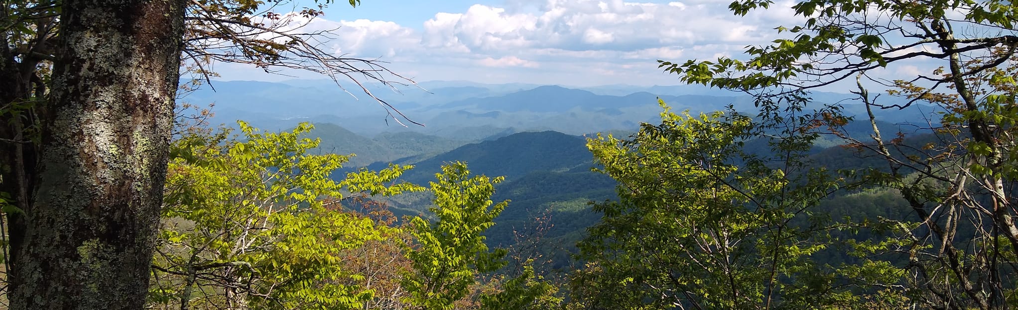 Slickrock Creek Trail, North Carolina - 39 Reviews, Map | AllTrails
