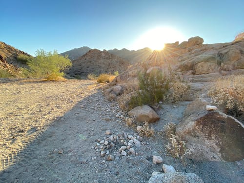 2023 Best 10 Trails and Hikes in Yuma | AllTrails