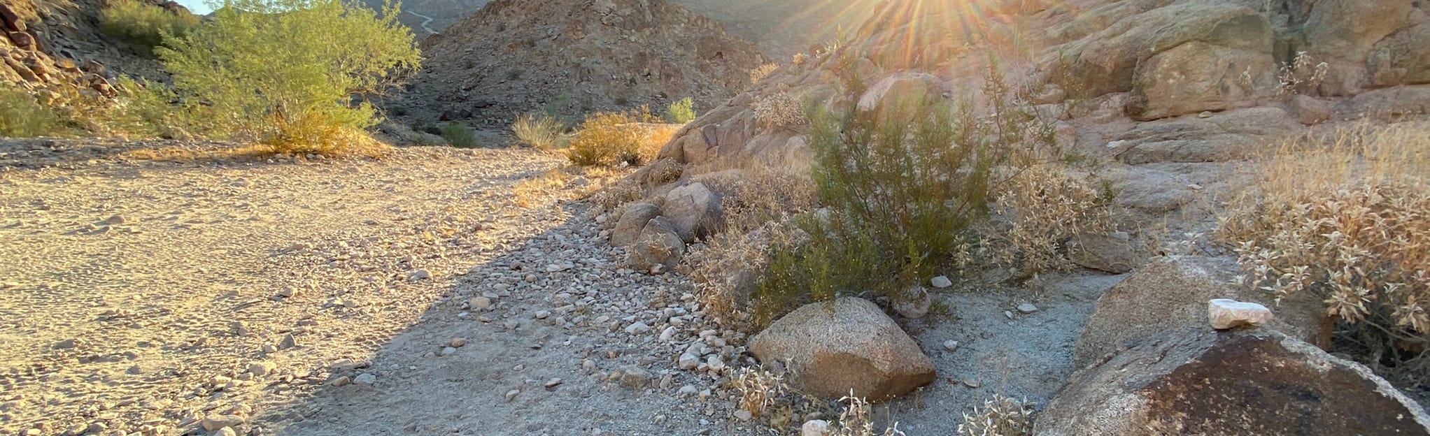 AllTrails | Fortuna Wash to Box Canyons and Petroglyphs: 147 Reviews ...