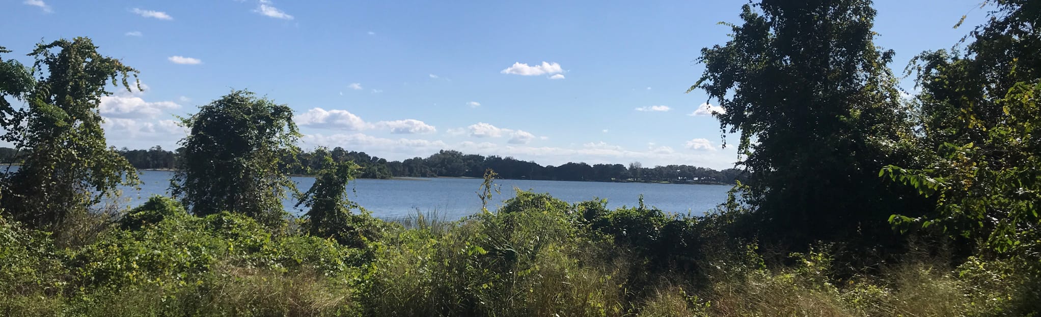 Carney Island Perimeter Loop: 156 Reviews, Map - Florida | AllTrails