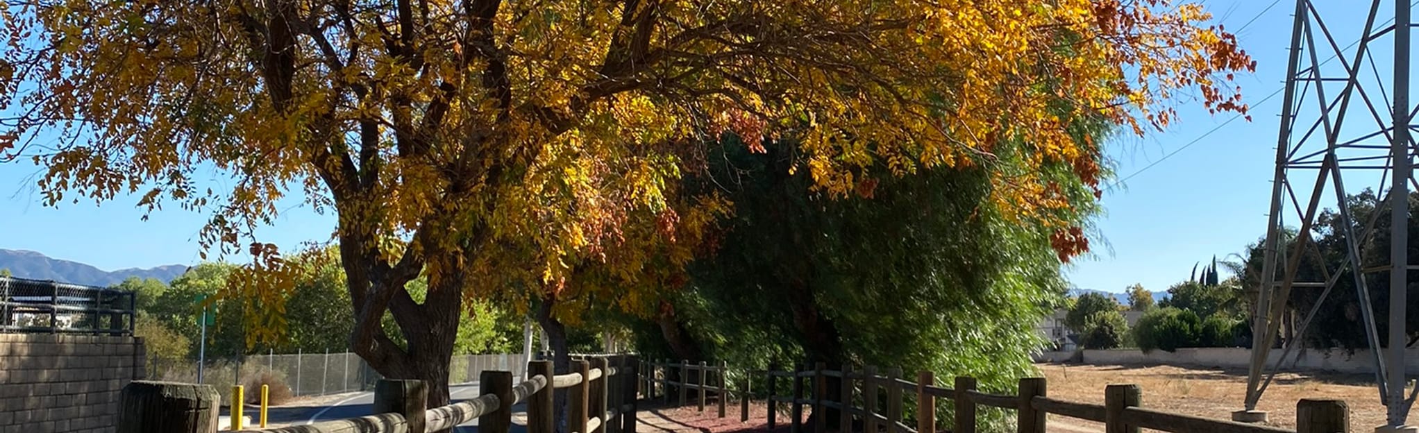 South Fork: 335 Reviews, Map - California | AllTrails