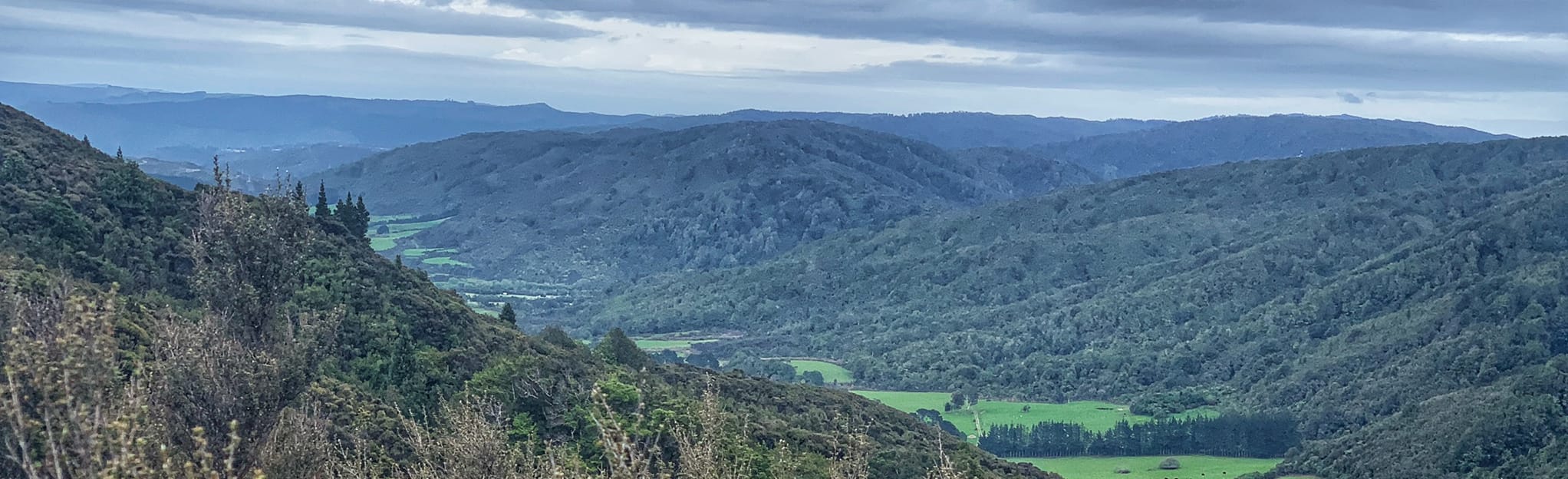 Dobson Loop Track: 32 Reviews, Map - Wellington, New Zealand | AllTrails
