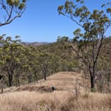 Mount Britton Townsite to Mining Fields via Cemetery, Queensland ...