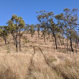 Mount Britton Townsite to Mining Fields via Cemetery, Queensland ...