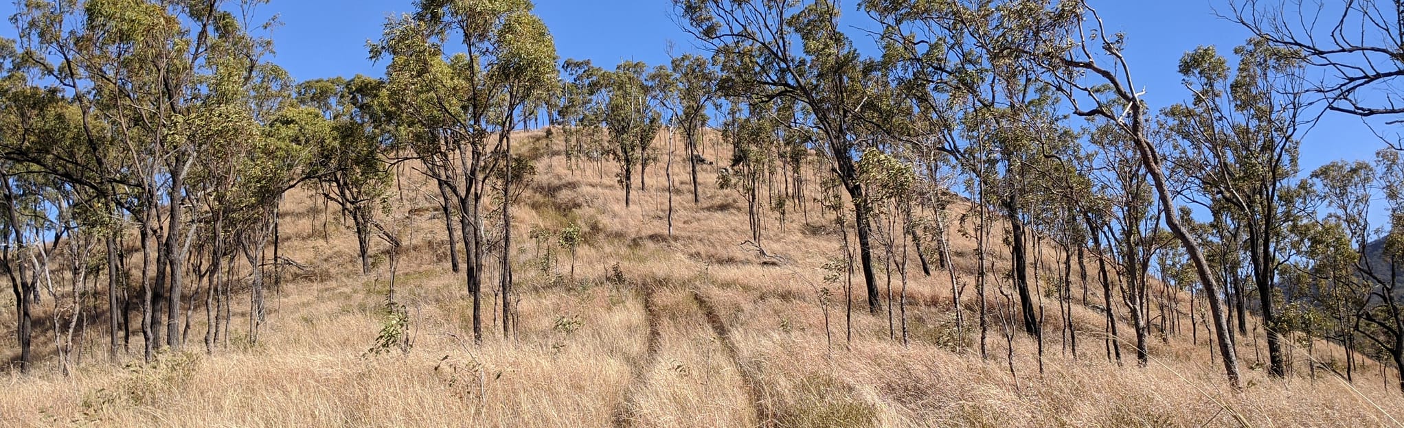 Mount Britton Townsite to Mining Fields via Cemetery - Queensland ...