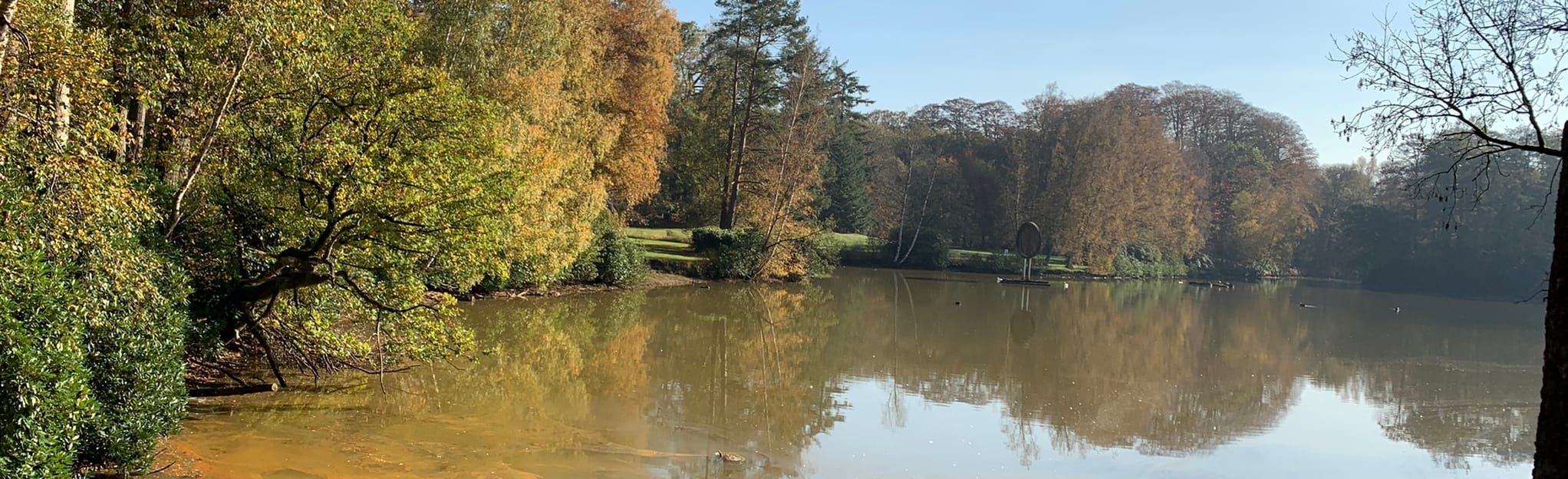 Cycling round of Brasschaat, Antwerp, Belgium - 3 Reviews, Map | AllTrails
