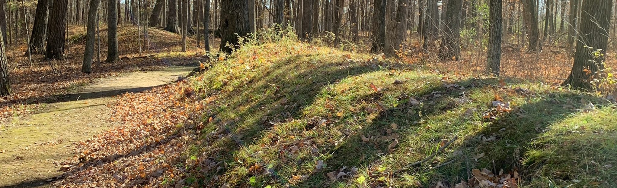 AllTrails | Lizard Mound County Park Loop: 36 Reviews, Map - Wisconsin