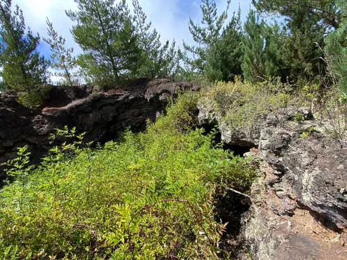 Best Hikes and Trails in Polipoli Spring State Recreation Area | AllTrails