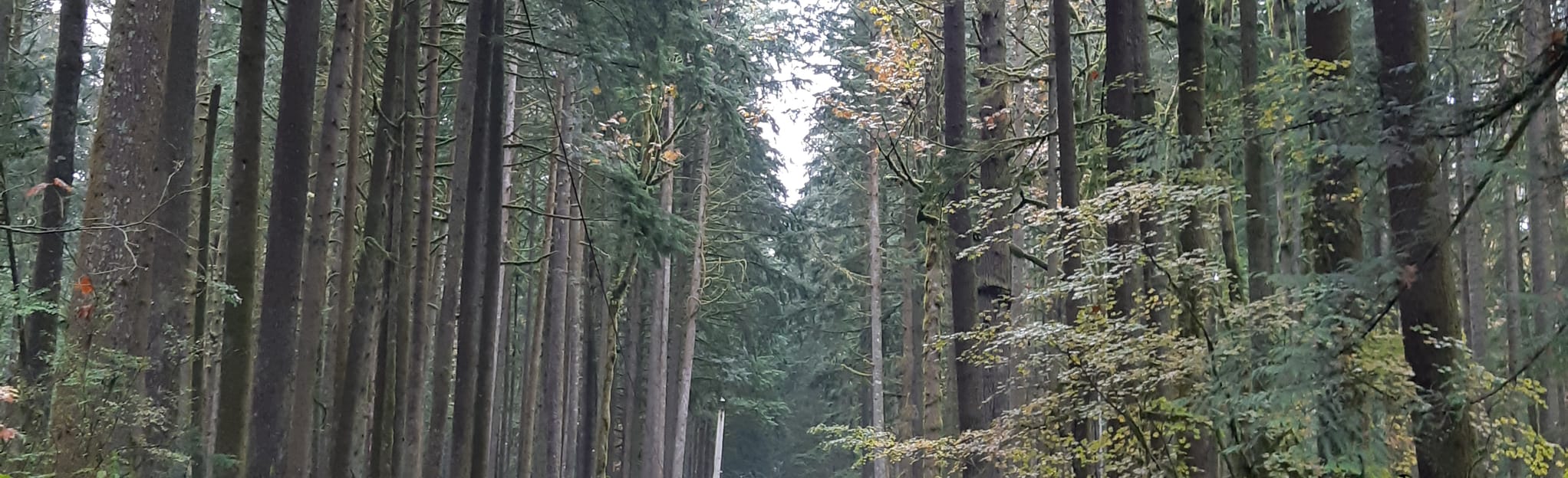 Mill Creek and Maple Ridge Loop: 136 Reviews, Map - British Columbia ...