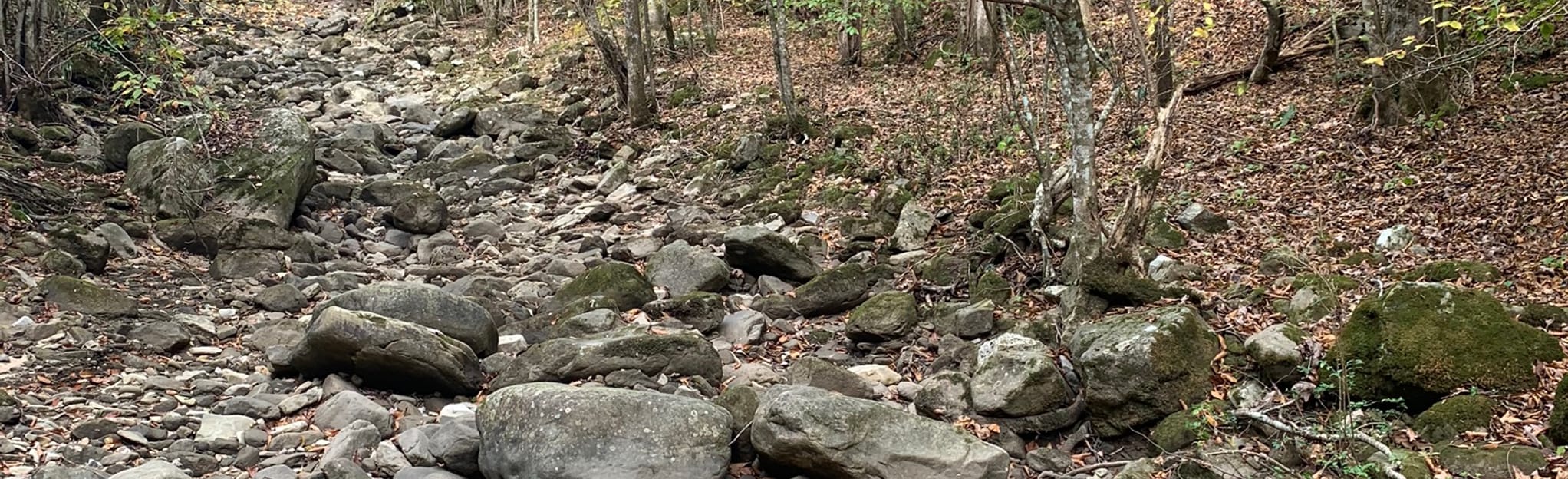 Lost Cove via Point Disappointment and Potter Ridge Trail: 86 fotos ...