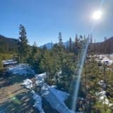 Gould Loop Trail, Colorado - 128 Reviews, Map | AllTrails