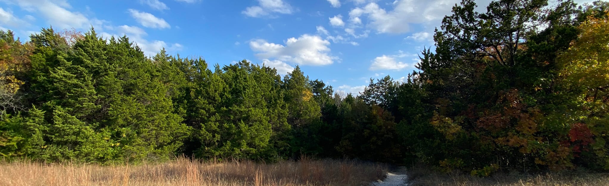 Oak Cliff Full Loop, 747 Fotos - Texas | AllTrails