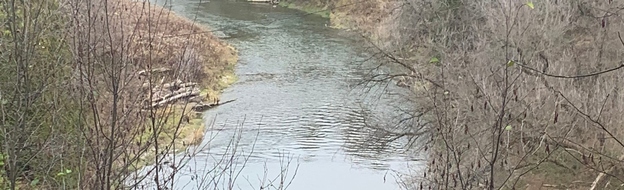 Simcoe County Forests: Foster Tract, Ontario, Canada - 94 Reviews, Map ...