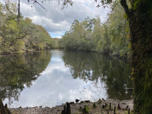 2023 Best trails in River Rise Preserve State Park | AllTrails