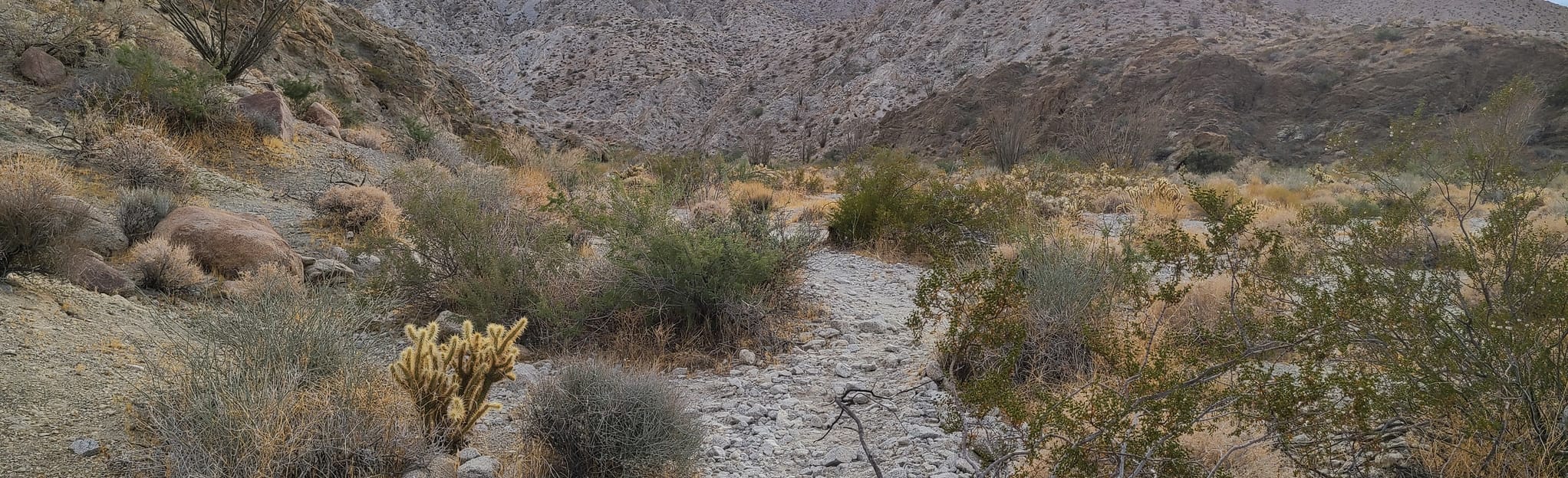 Narrows Earth Trail: 78 Reviews, Map - California | AllTrails