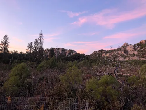 Best Hikes and Trails in Bonny Doon Ecological Reserve | AllTrails