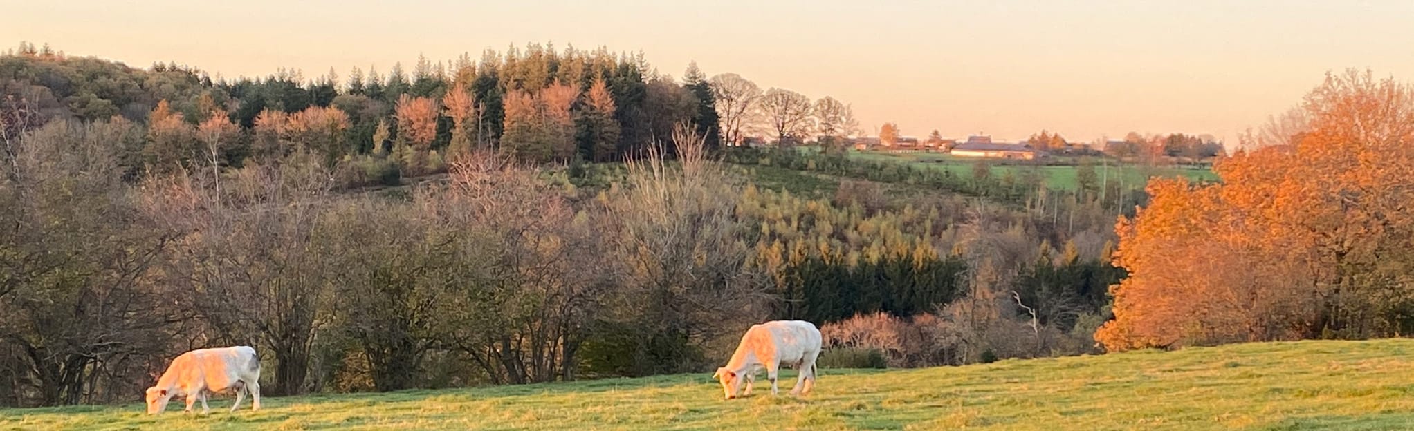 Jalhay - Moulin Dison - Royompré: 5 Reviews, Map - Liège, Belgium ...