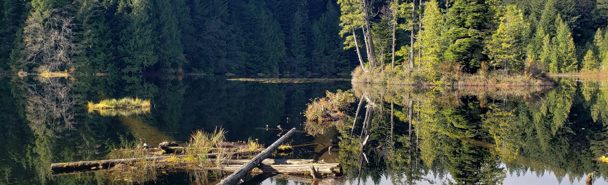 Stump Lake Loop - British Columbia, Canada | AllTrails
