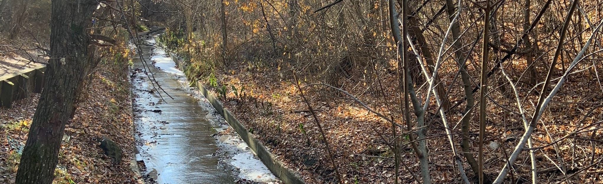 Forest Park to Red Willow Park via Red Willow Trails - Alberta, Canada ...