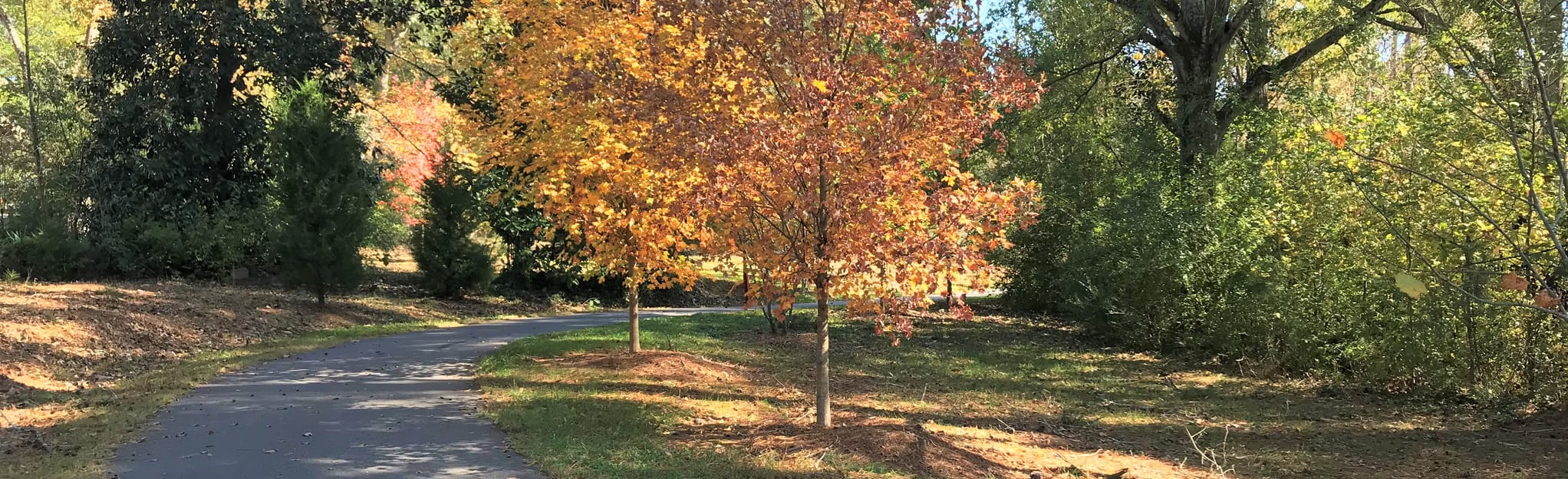 Bell Memorial Park Loop: 67 Reviews, Map - Georgia | AllTrails