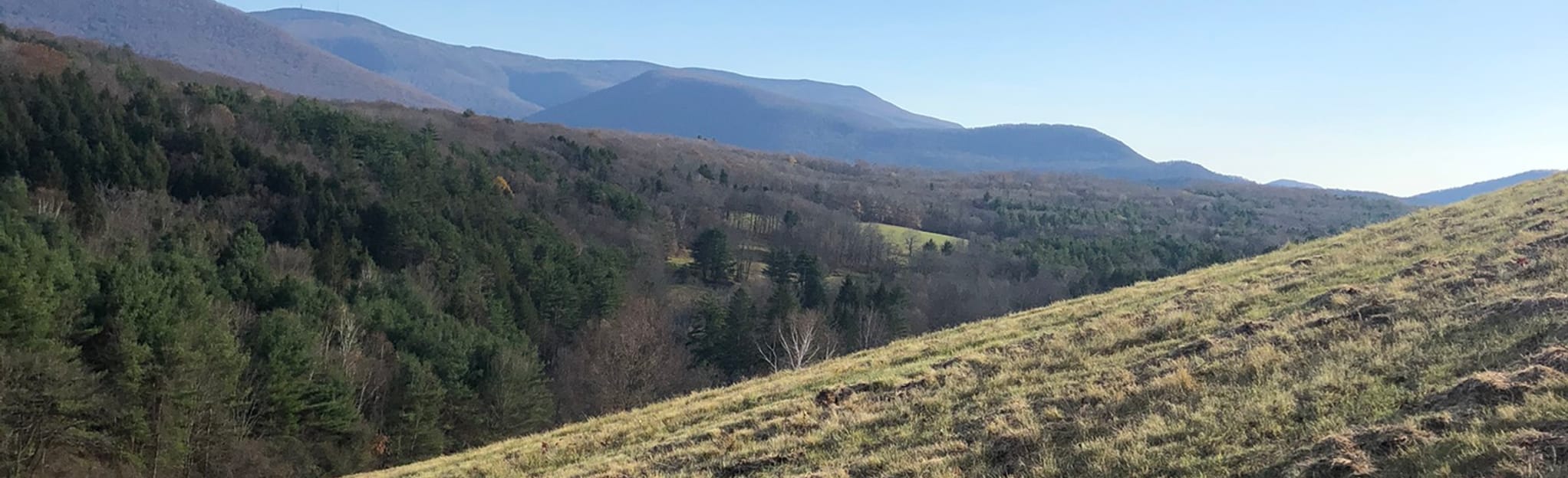 Sheep Hill Trail, Massachusetts - 110 Reviews, Map | AllTrails