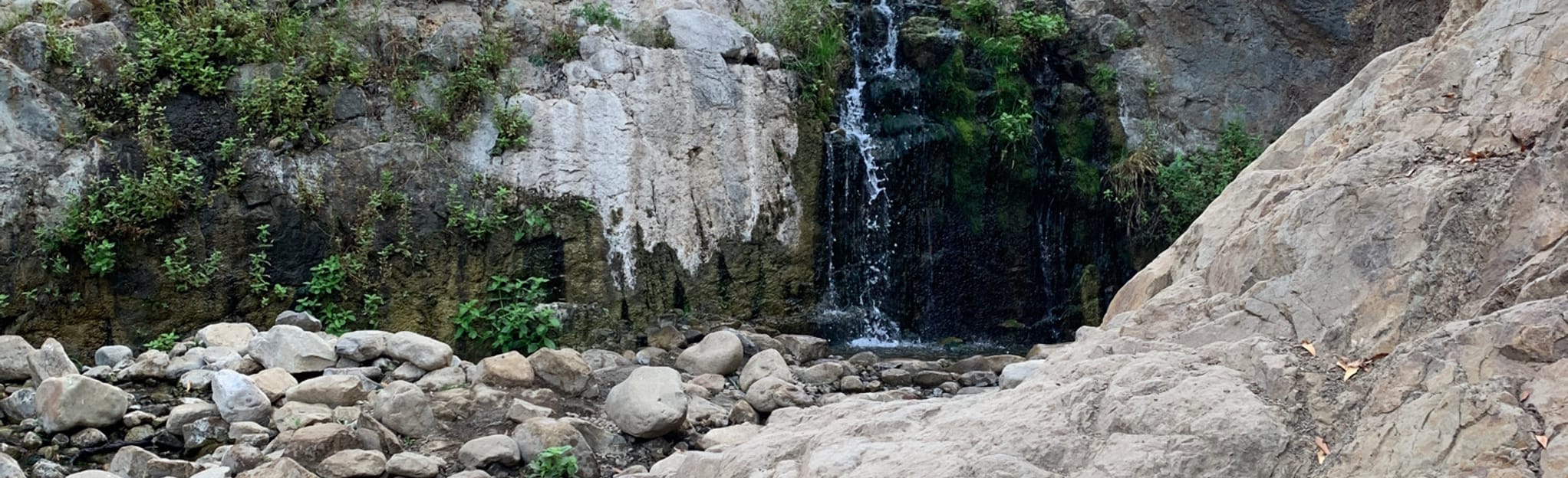 Cold Springs East Fork Trail, California - 258 Reviews, Map | AllTrails