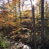 Crozet Park Trails, Virginia - 357 Reviews, Map | AllTrails