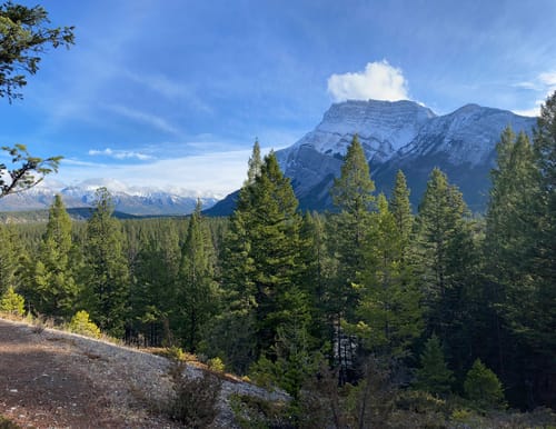 2023 Best 10 Trails and Hikes in Banff | AllTrails