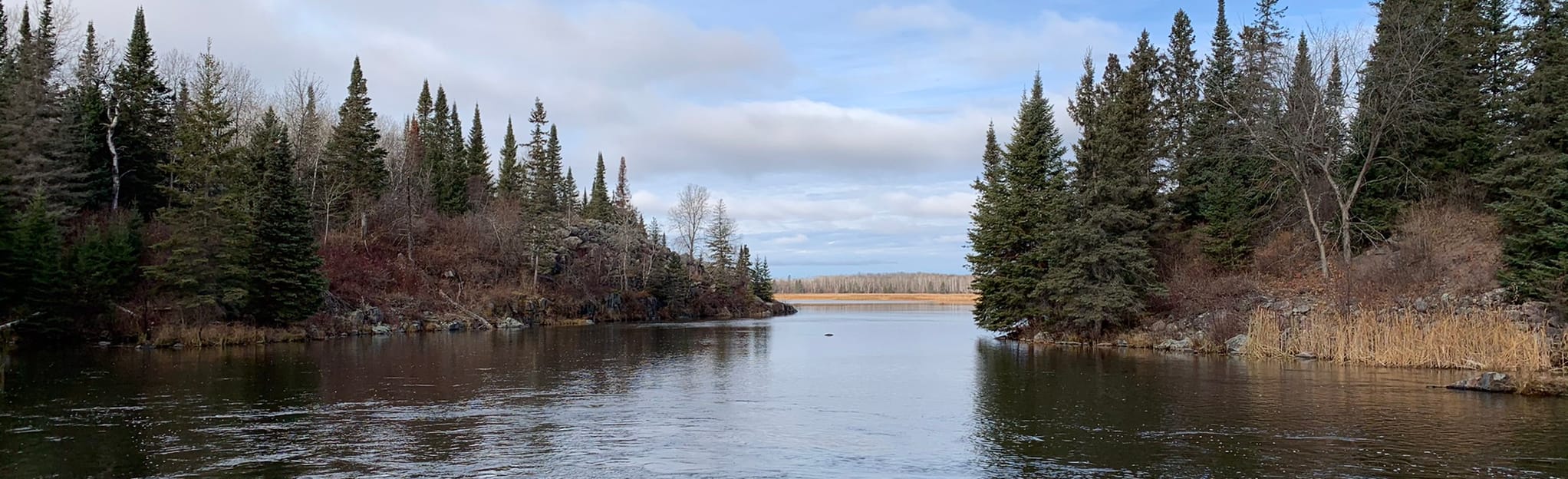 Alice Chamber’s Trail: 35 Reviews, Map - Manitoba, Canada | AllTrails