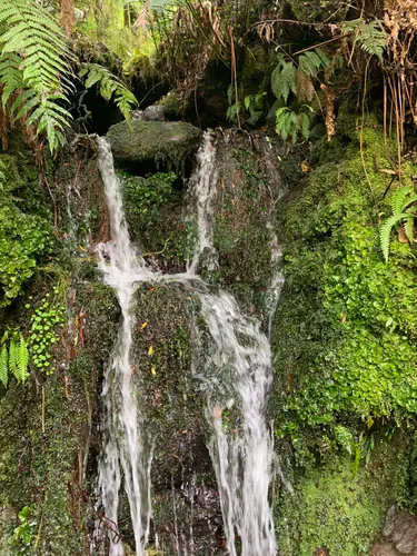 Best Long Trails in Murupara | AllTrails