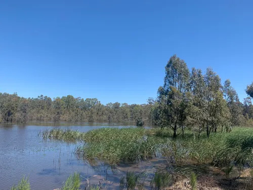 Best Hikes and Trails in Murchison - Rushworth Rail Line Nature ...