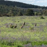 Narrabundah Hill, Australian Capital Territory, Australia - 150 Reviews ...