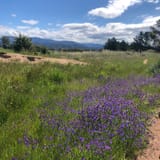 Narrabundah Hill, Australian Capital Territory, Australia - 150 Reviews ...