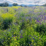 Narrabundah Hill, Australian Capital Territory, Australia - 150 Reviews ...