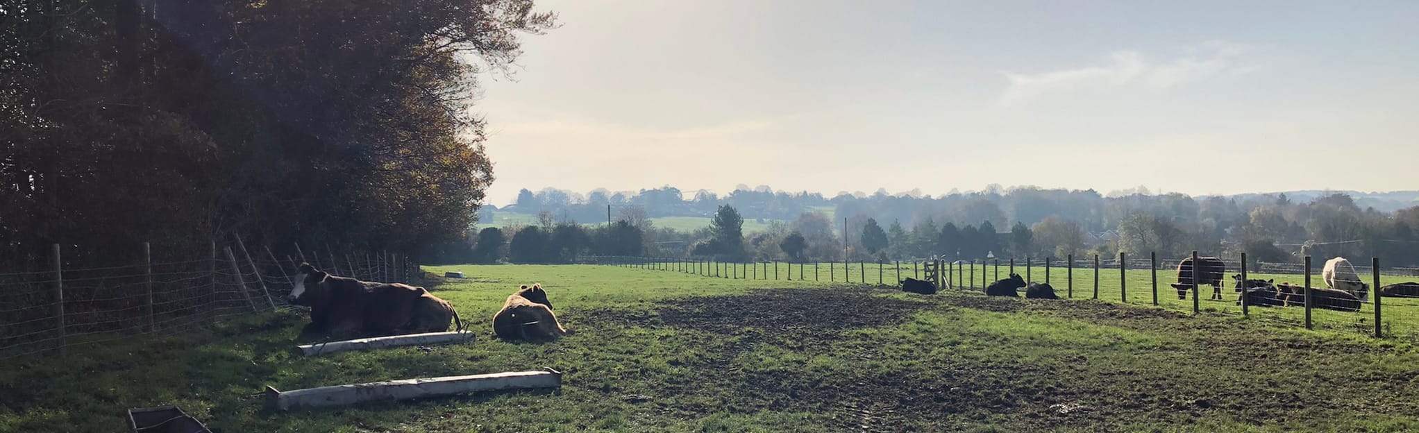 NCN Regional Route 16: Canterbury to Dover: 3 Reviews, Map - Kent ...