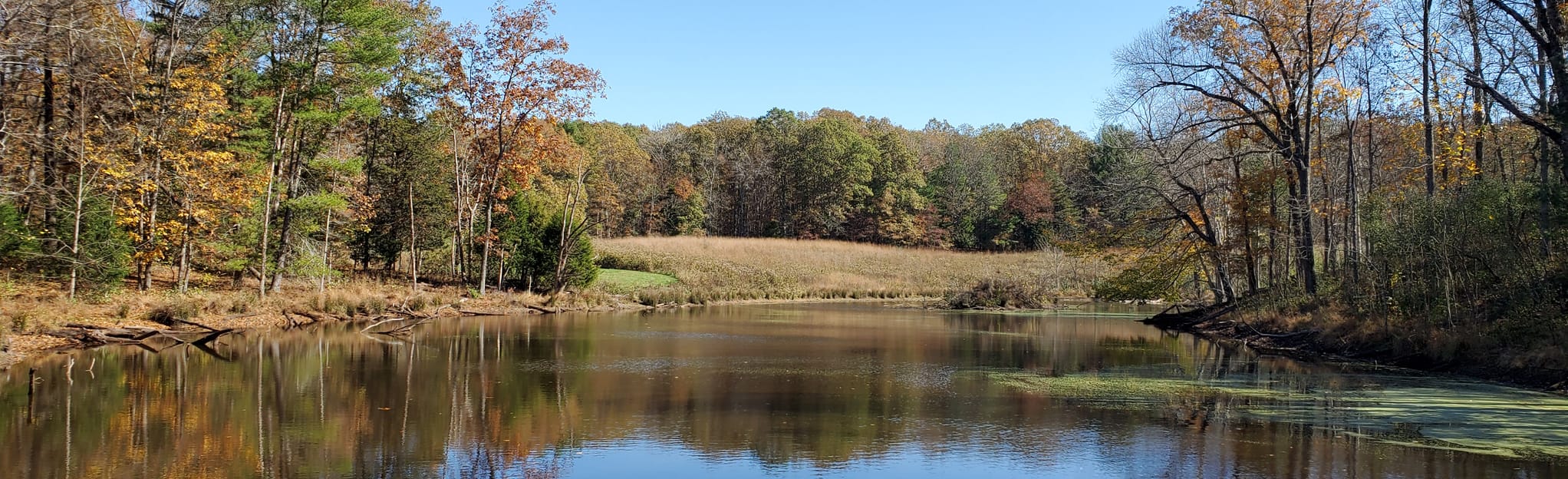 Central Kentucky Wildlife Refuge Blue Bird Trail: 27 Reviews, Map - Kentucky | AllTrails