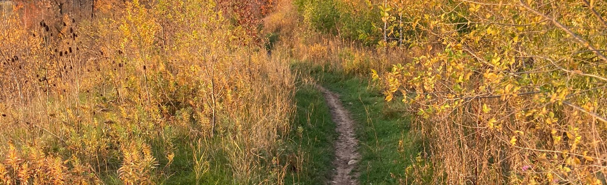 Red Hill Valley Trail: Queenston via Barton, Ontario, Canada - 22 ...