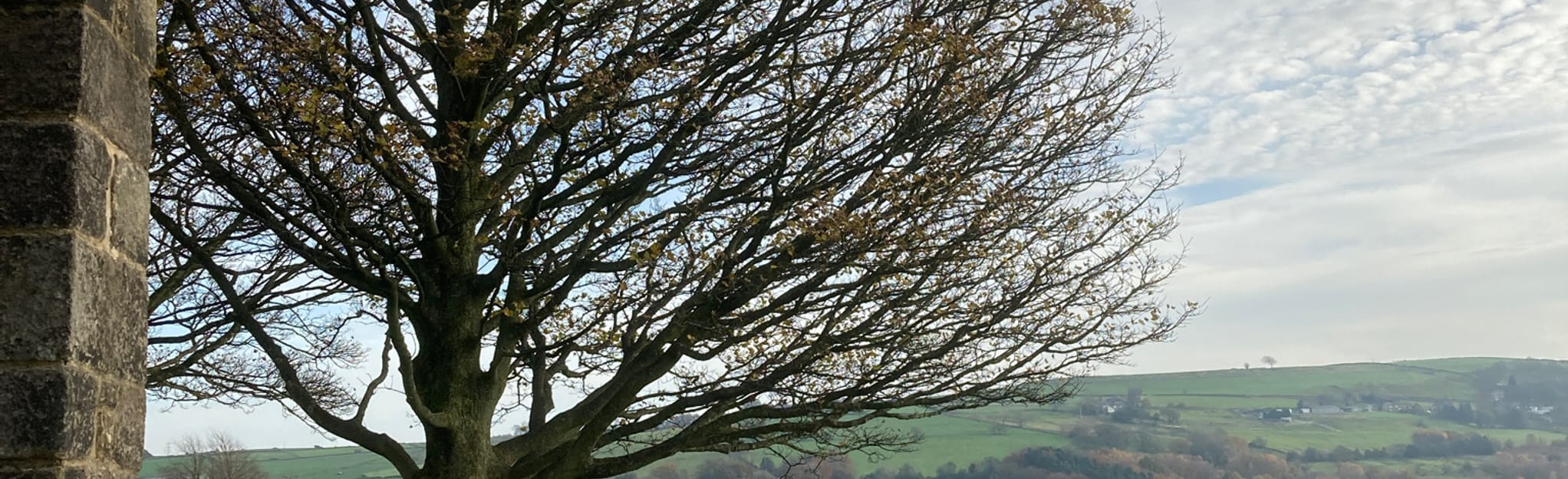 Cown Edge Way, 78 Fotos - Derbyshire, England | AllTrails