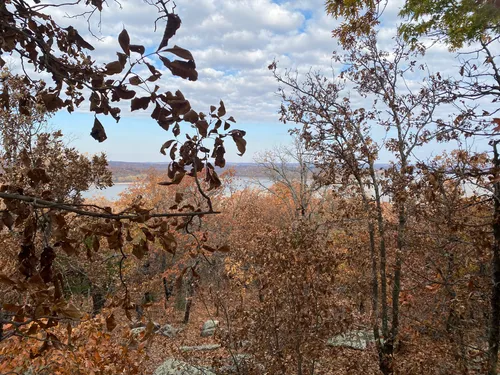 Best Hikes and Trails in Keystone Ancient Forest | AllTrails