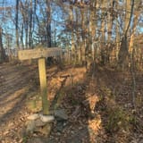 Appalachian Trail: Springer Mountain to Neels Gap, Georgia - 149 ...
